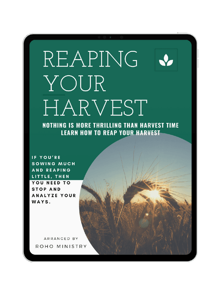 Wealth: 6 Rules of Reaping Your Harvest